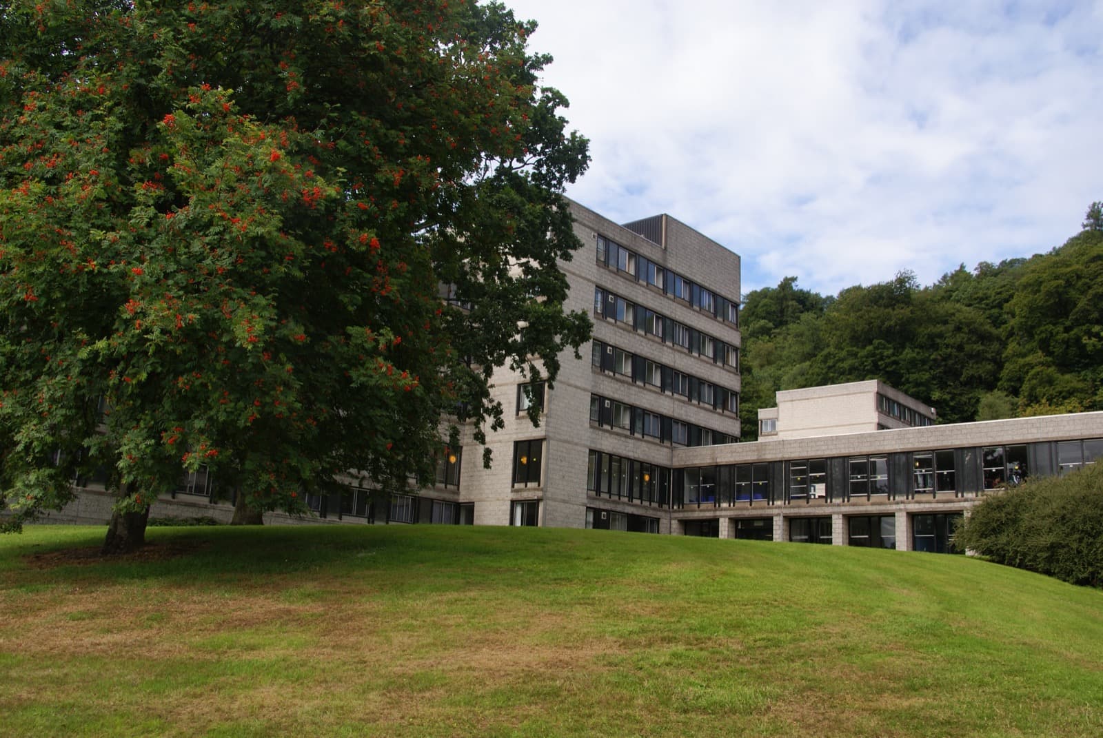 University of Stirling: Acceptance Rate, Employability Rate, Courses ...